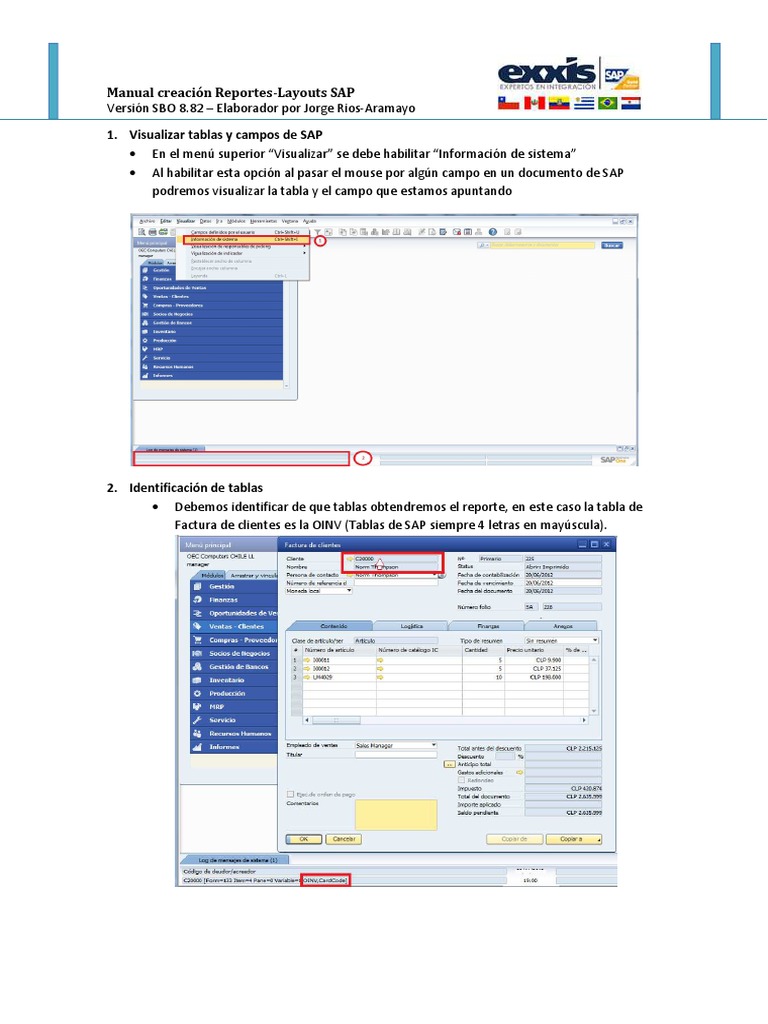 Manual Creación Reportes-Layouts SAP | PDF | SQL | Informática