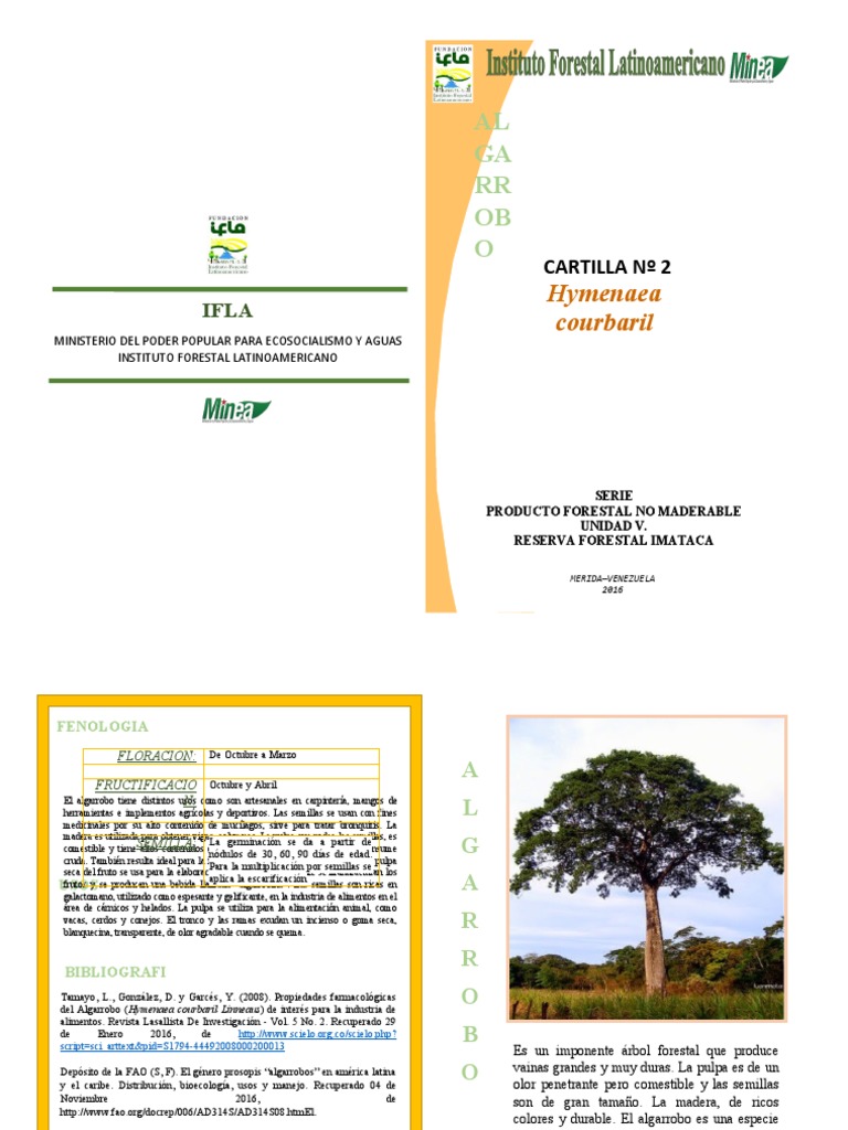 Cartilla 2 Algarrobo | PDF