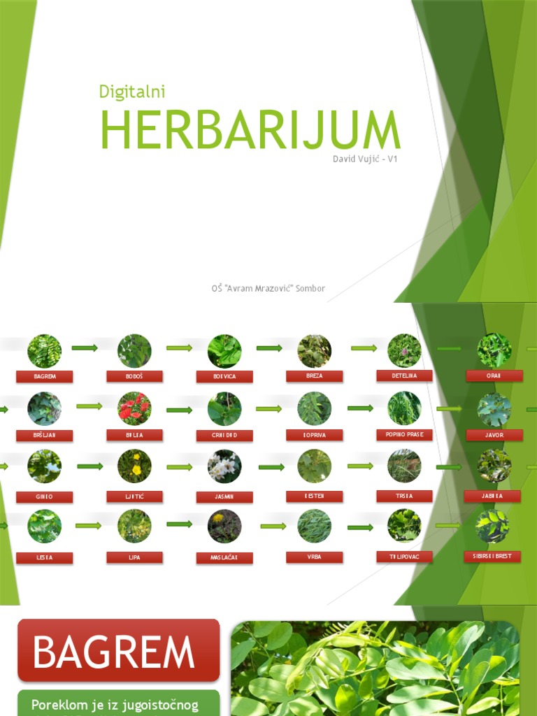 Digitalni herbarijum | PDF