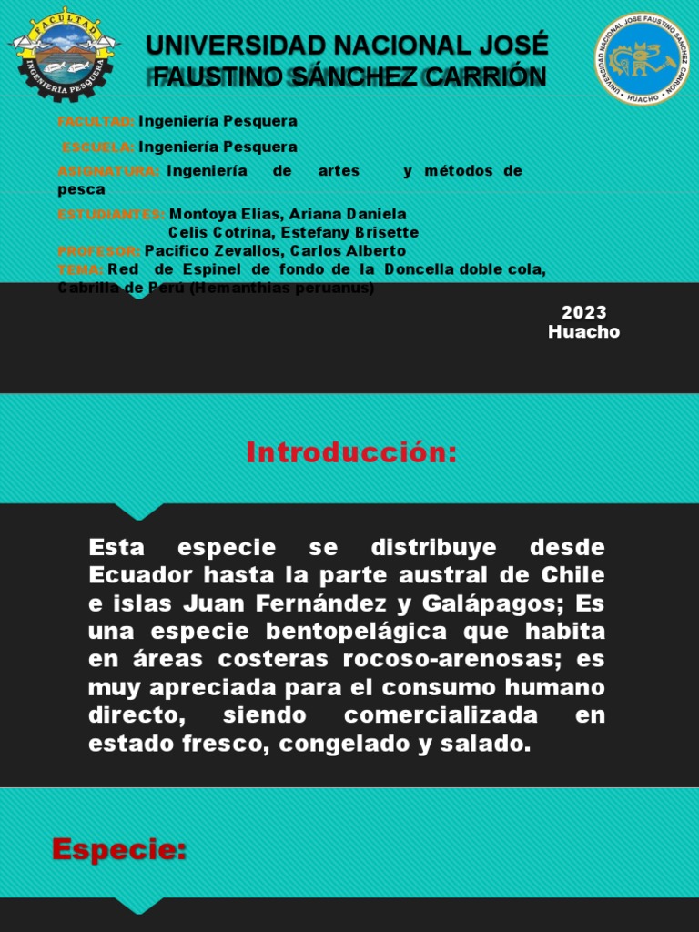 Doncella (Ariana y Tefy) | PDF