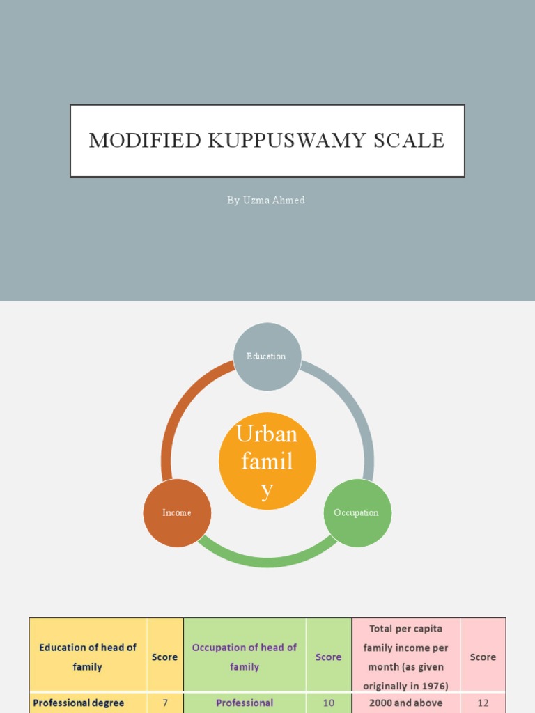 Modified Kuppuswamy Scale Overview | PDF