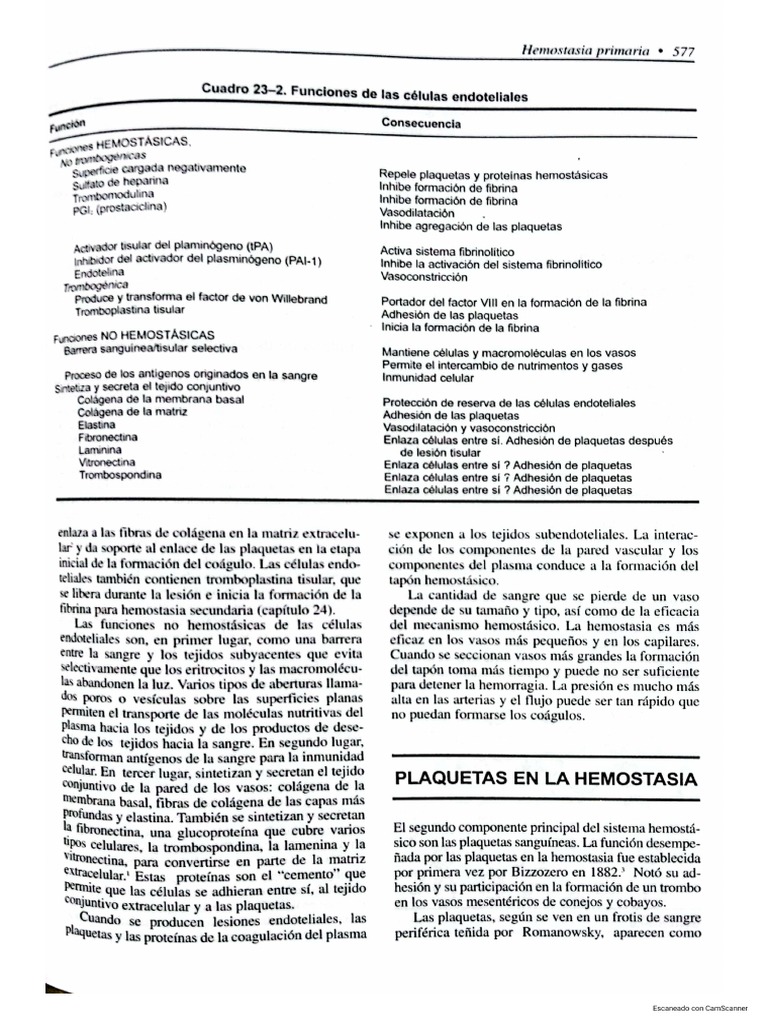 Plaquetas Mckenzie | PDF