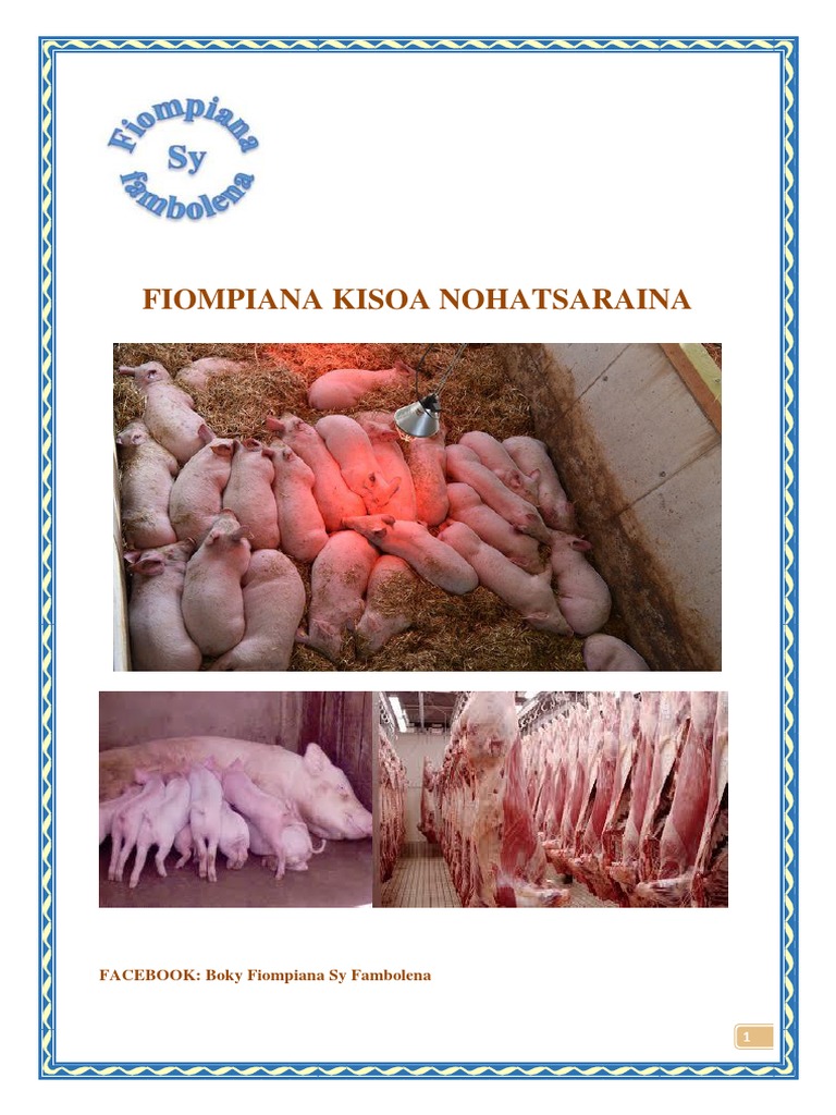 4 Fiompiana Kisoa | PDF