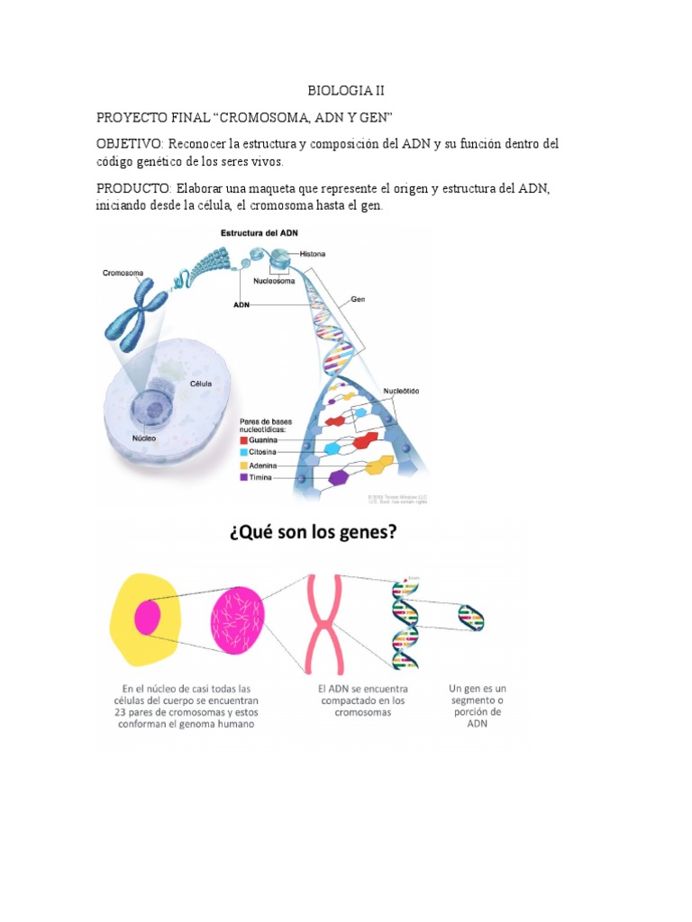 Proyecto Biologia | PDF