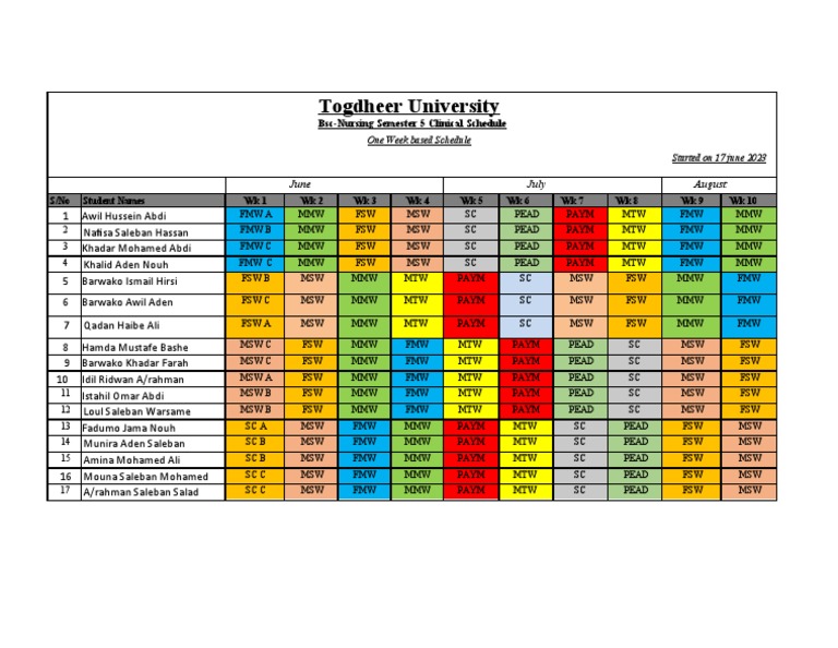 Togdheer University Nursing 5 | PDF | Somalia