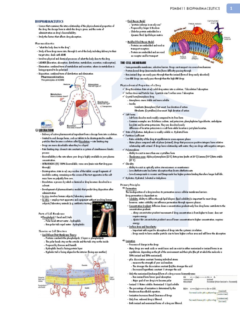 PSMB Area 4 | PDF | Drug Metabolism | Cell Membrane
