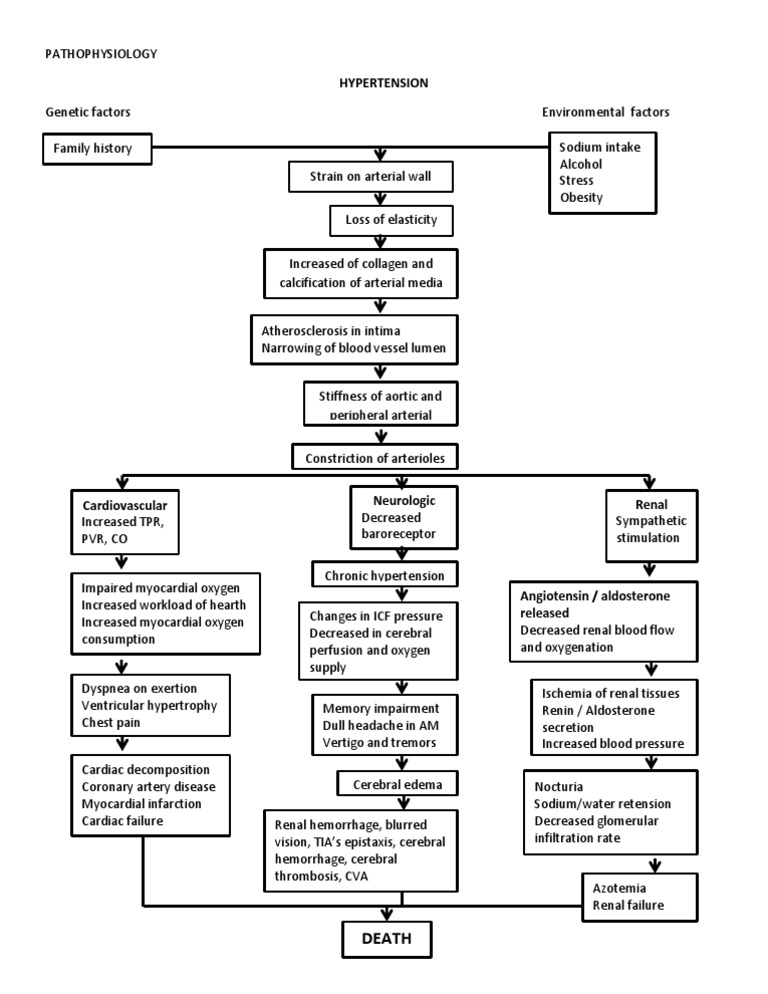 Pathophysiology Hypertension | PDF