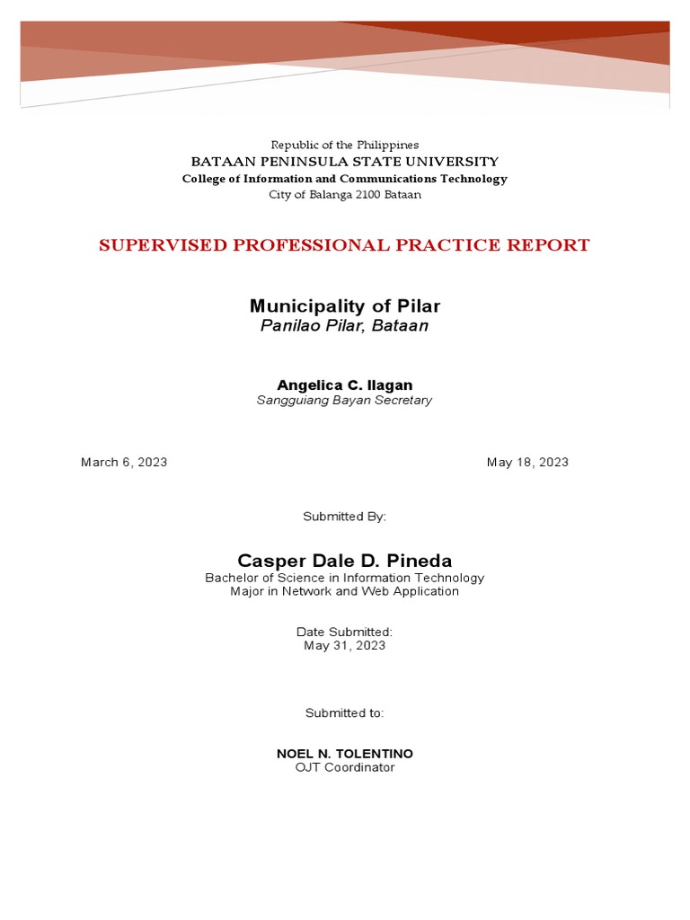 OJT Portfolio: Municipality of Pilar Report | PDF | Career & Growth ...