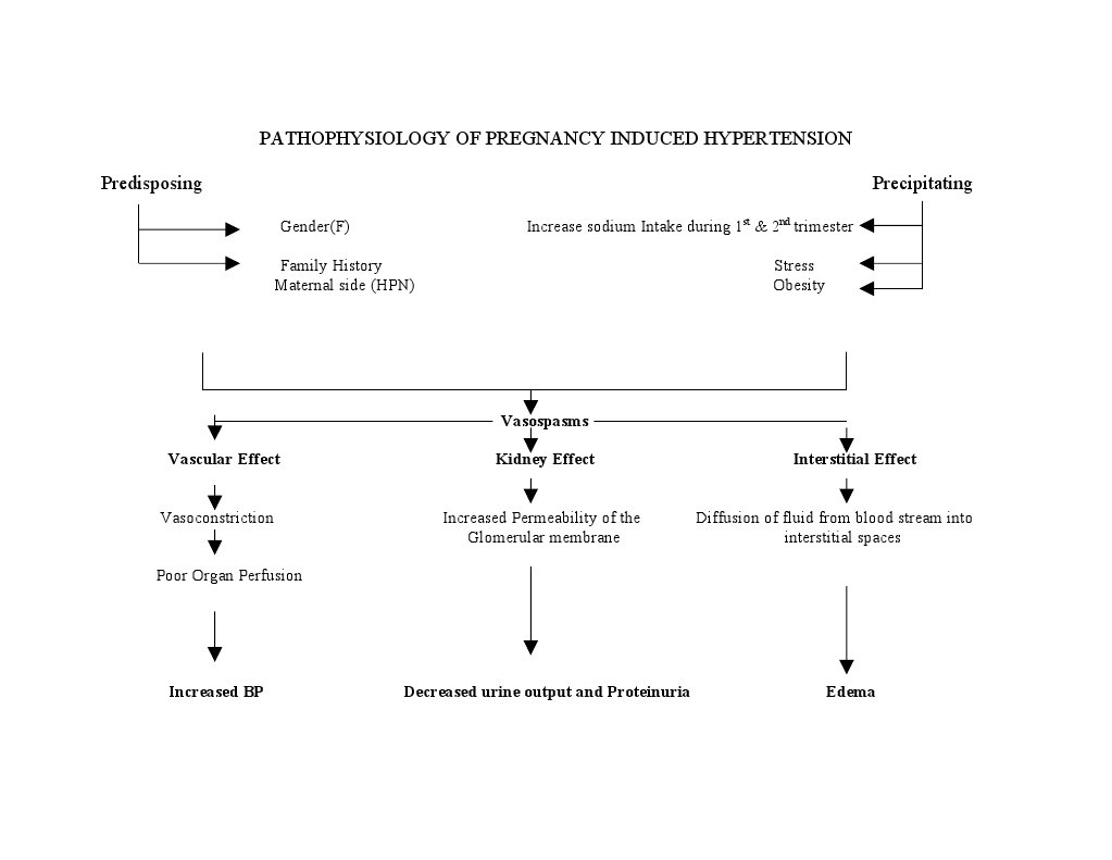 Pathophysiology of Pregnancy Induced Hypertension | PDF