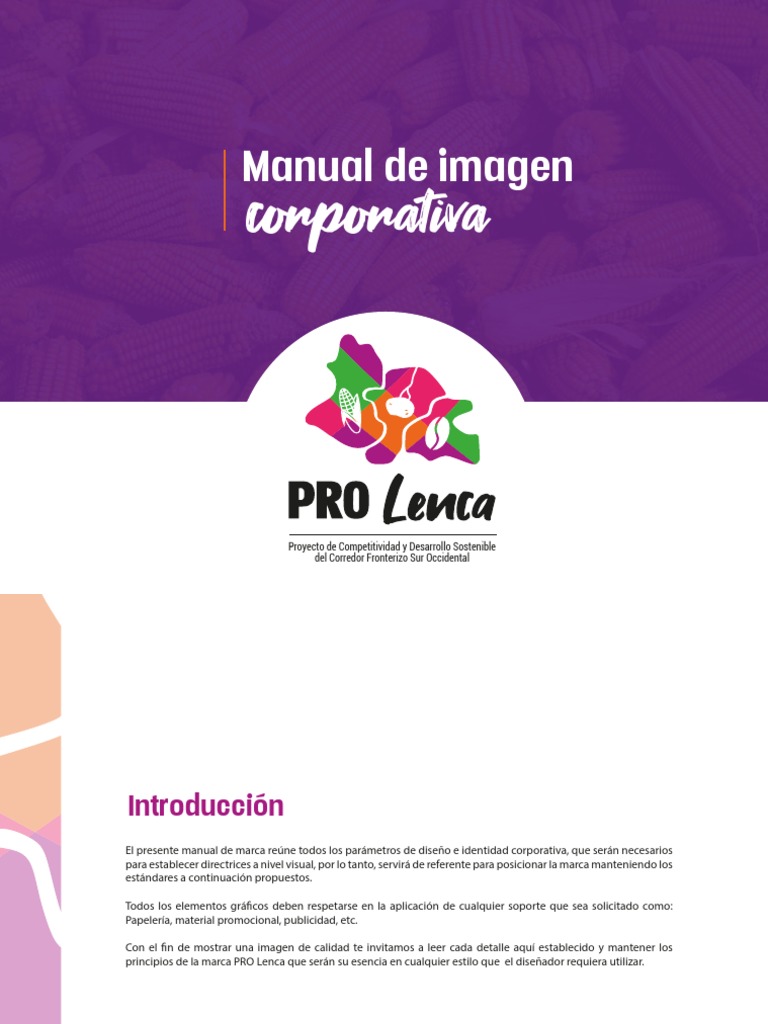 Manual de Marca PRO Lenca: Guía Visual | PDF | Tipografía