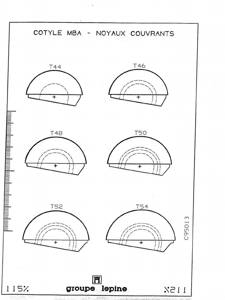 GROUPE LEPINE - MBA | PDF