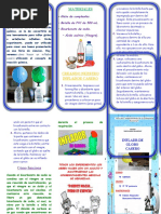 Triptico Experimento de Mathias Torre de Iquidos | PDF | Densidad | Líquidos