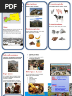 Triptico de Pasco | PDF | Alimentos | Naturaleza