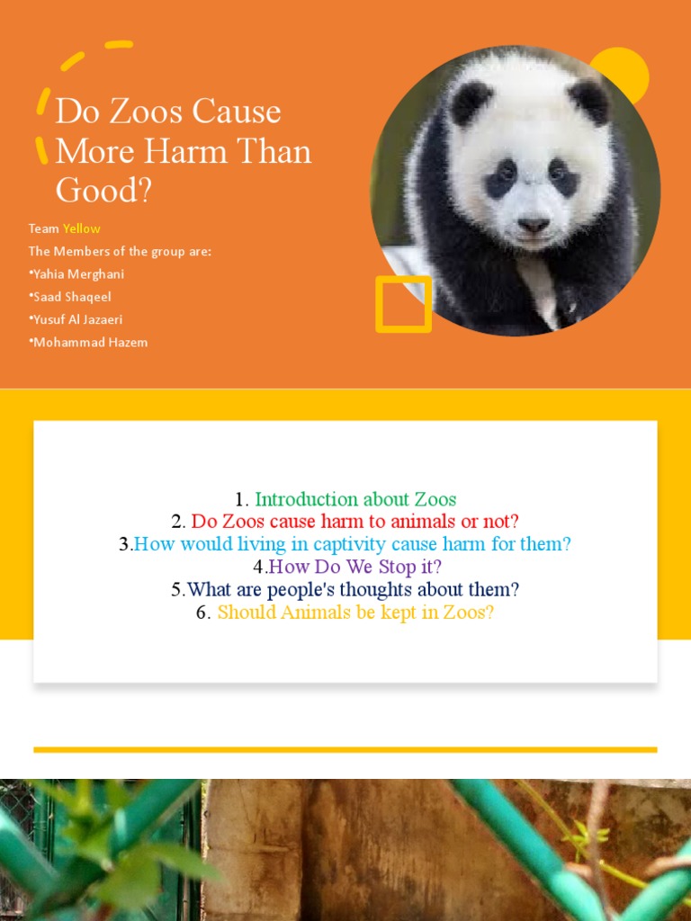 English Project About Zoos | PDF | Zoo | Zoology