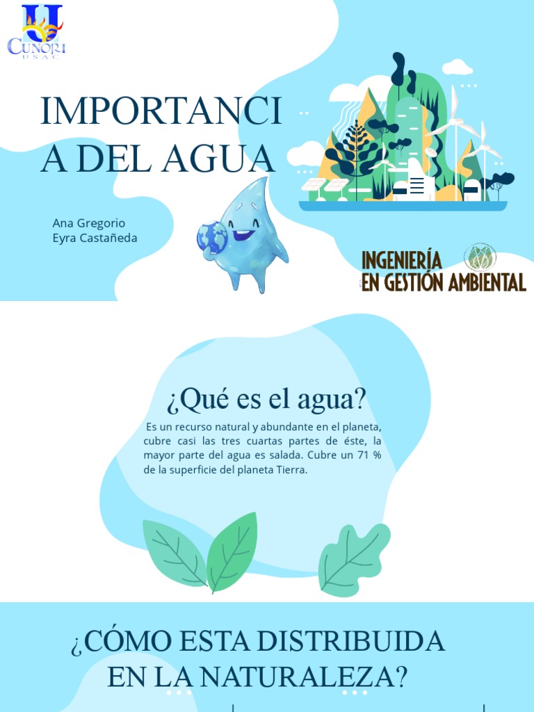 Importancia Del Agua | PDF | Hogar, jardinería y bricolaje