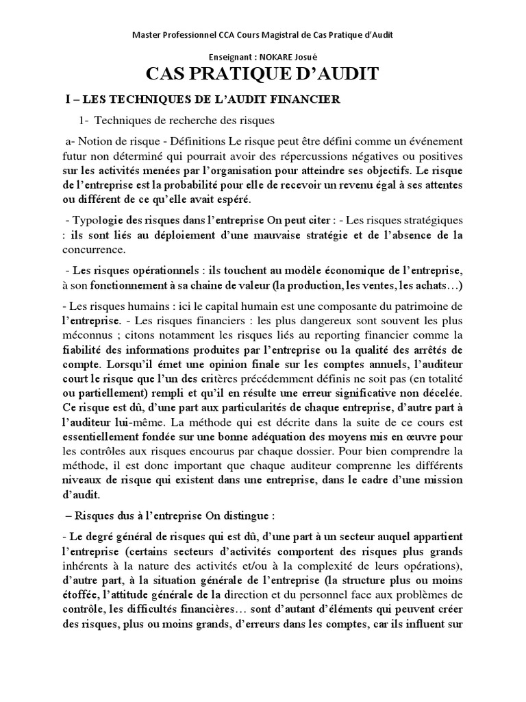 CAS PRATIQUE Master | PDF | Audit | Risque
