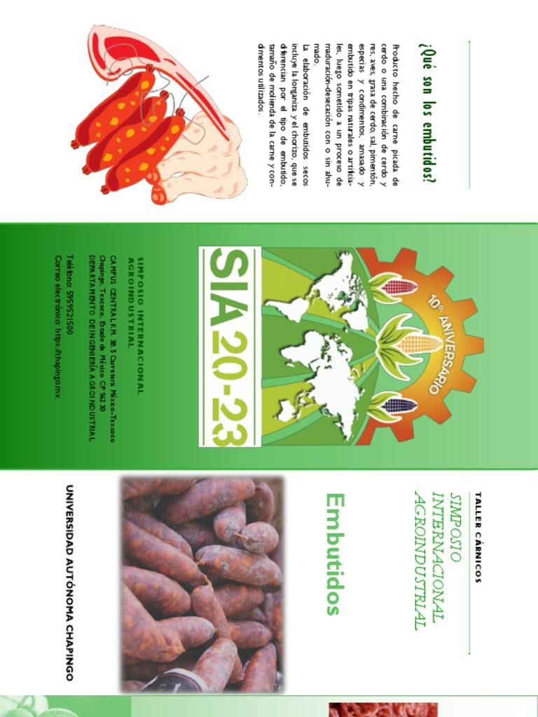 Triptico Taller de Carnicos 20-23 | PDF | Carne | Alimentos