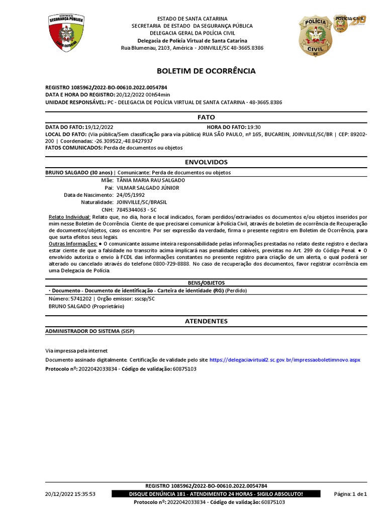 Boletim de Ocorrência: Polícia Civil | PDF