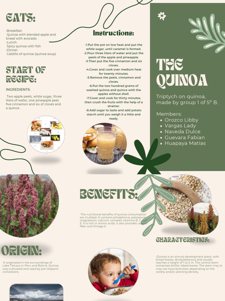 Quinua Triptico | PDF