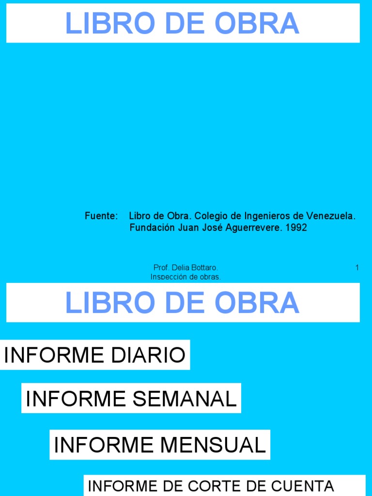 LIBRO_DE_OBRA (2) | PDF