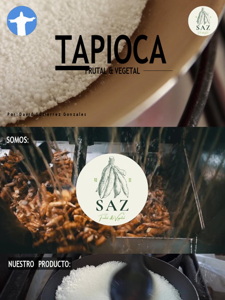 Producción y Rentabilidad de Tapioca | PDF | Cocina, comidas y vino ...