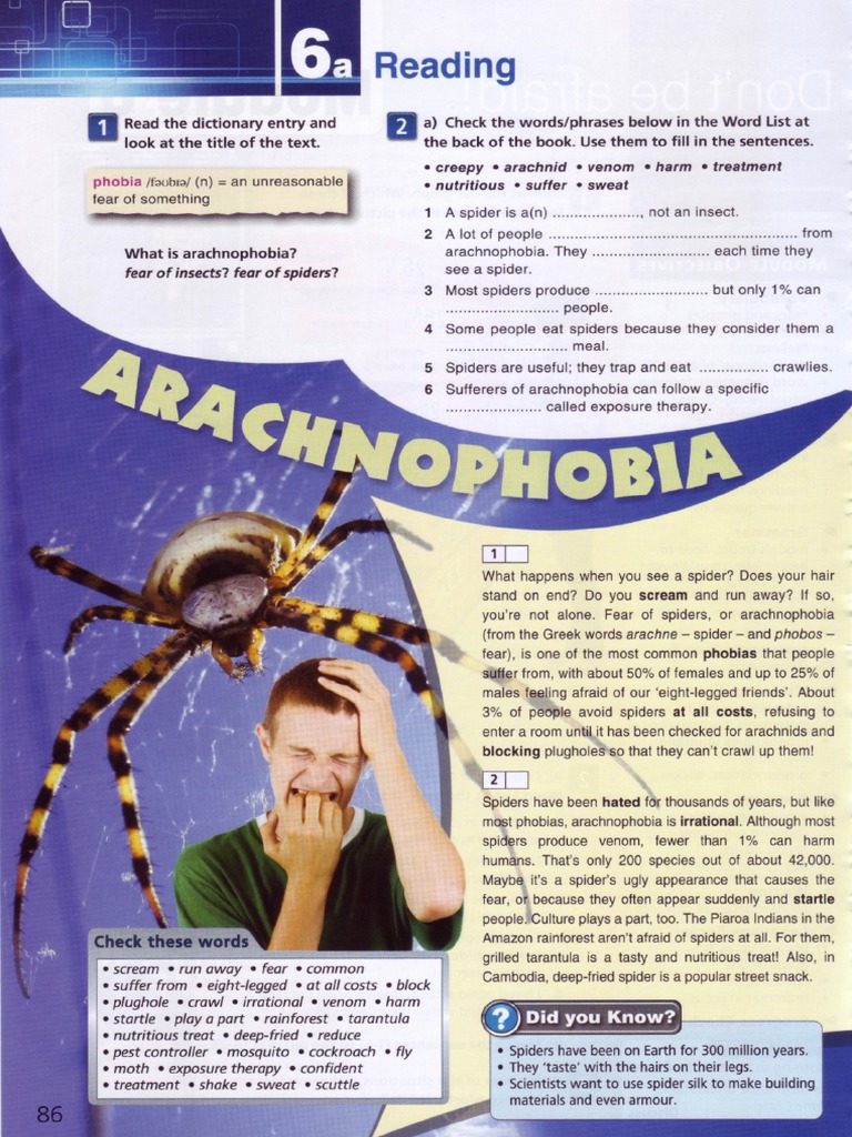 On Screen b1 Plus Module 6 Part 1 | PDF