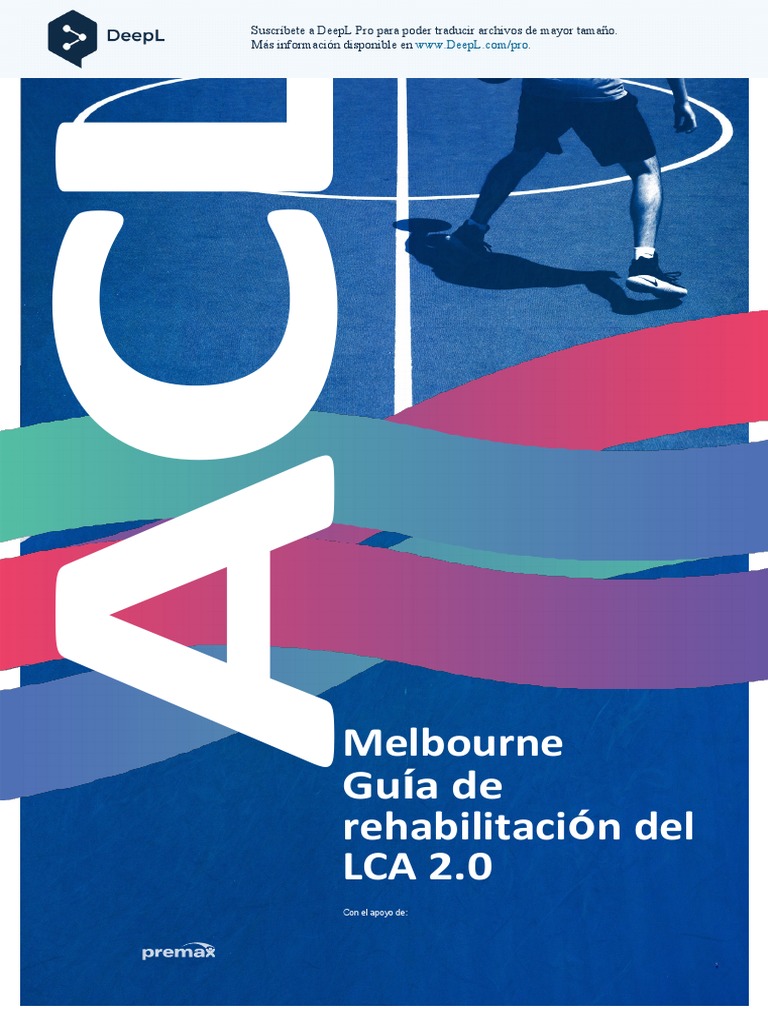 ACL - Guide - 230213 - 094009 Es | PDF | Rodilla | Sistema ...