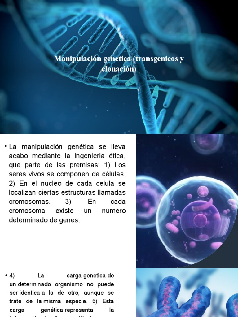Manipulacion Genetica | PDF | Ingeniería genética | Genética