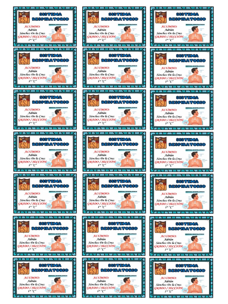 solapin sistema respiratorio | PDF