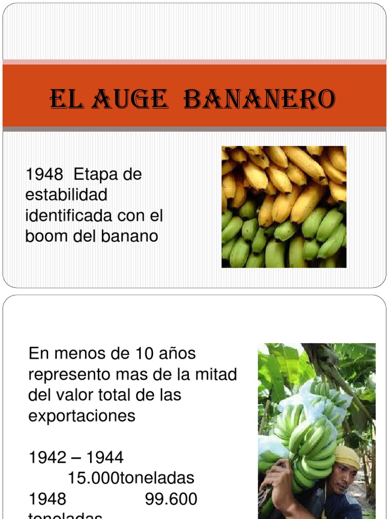Auge Bananero en Ecuador: Impacto y Consecuencias | PDF