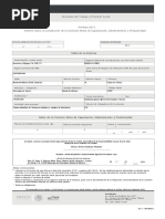 DC1 STPS Formato Word Editable | PDF