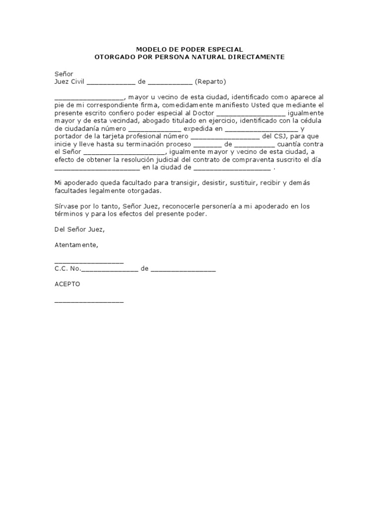 Modelo de Poder Especial | PDF | Gobierno | Justicia