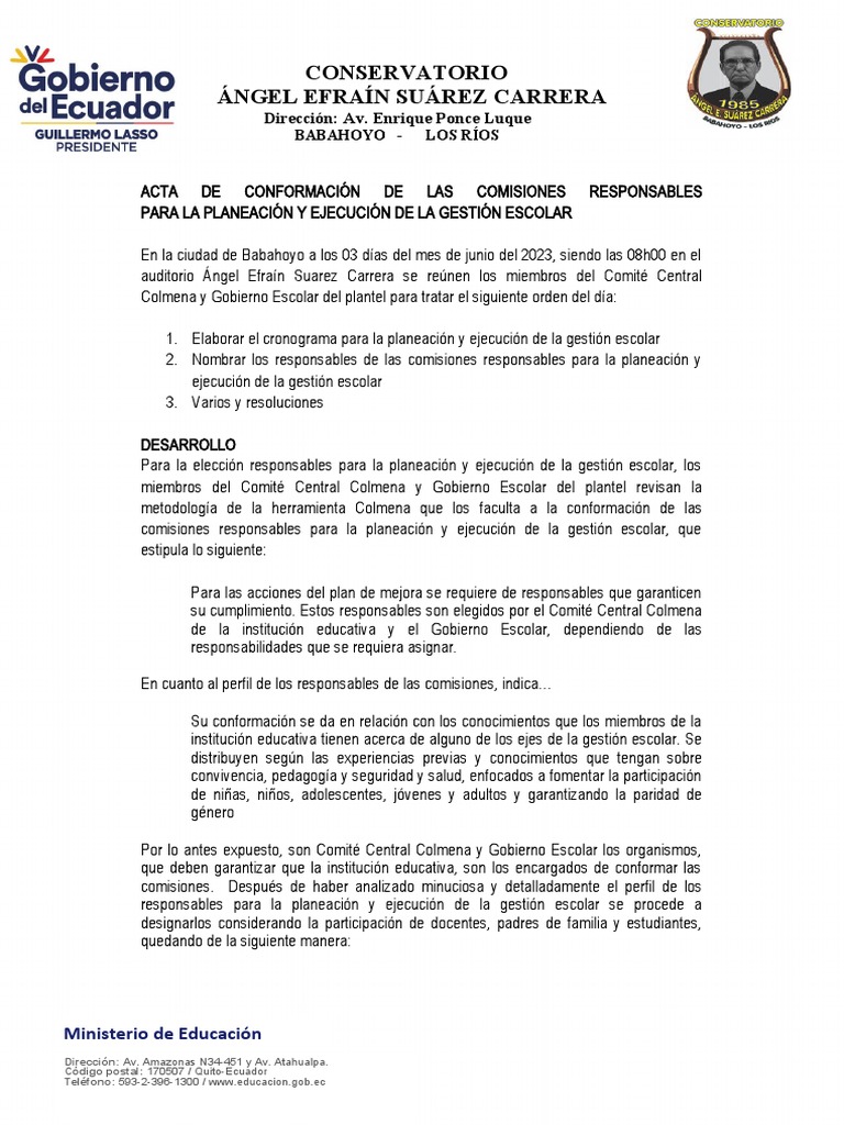 ACTA DE CONFORMACIÓN DE LAS COMISIONES RESPONSABLES | PDF