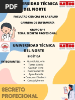 El Secreto Profesional en Enfermeria | PDF