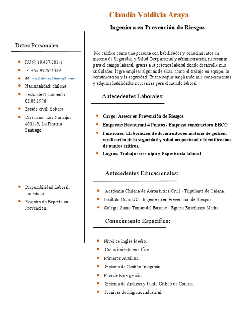 CV Claudia Valdivia | PDF