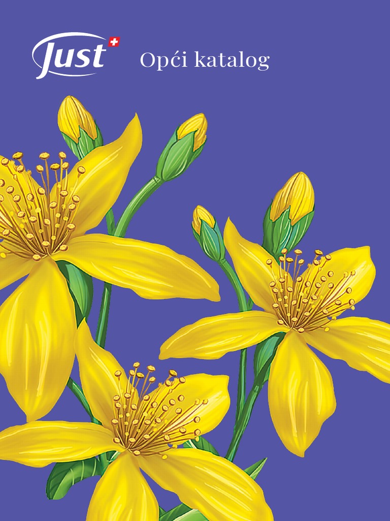 Opci Katalog v3 2023 | PDF