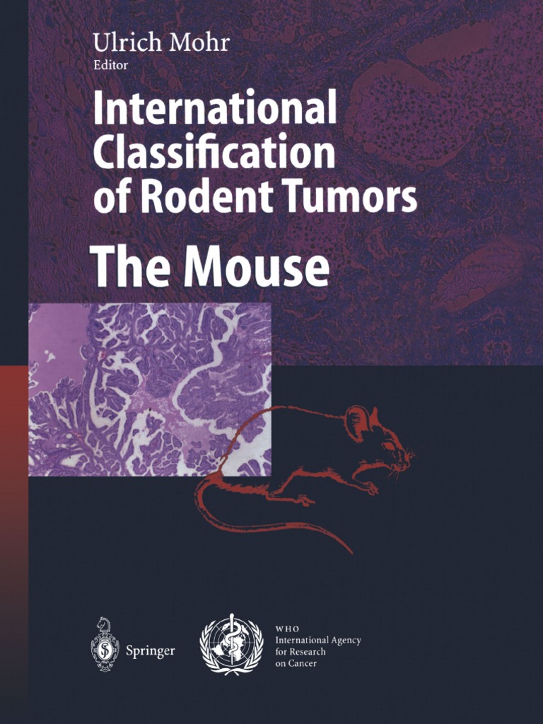 R. Bruner, K. Küttler, R. Bader, W. Kaufmann (Auth.), Professor Dr ...