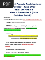 Belize Customs Declaration - Form | PDF | Money | Customs