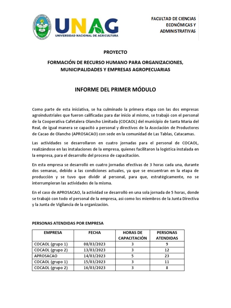 Primer Informe Pdf