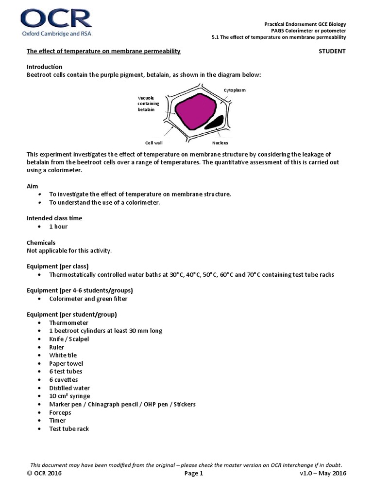 PAG5 1 Student Effect of Temp On Memb Permeability v1 0 | PDF ...