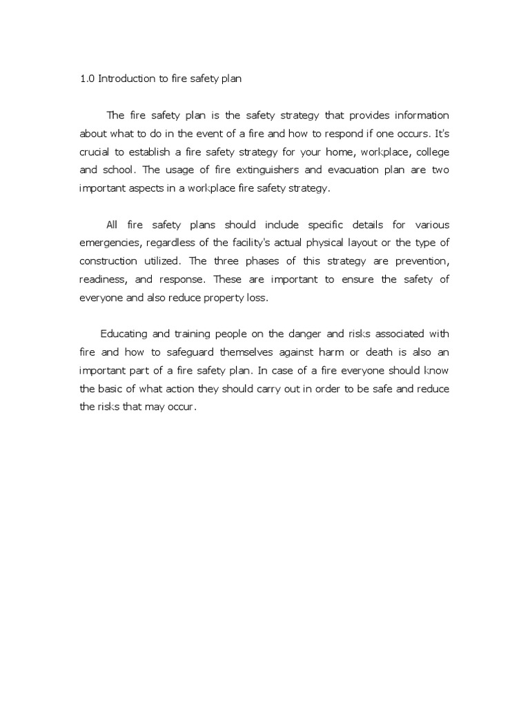 Safety Plan Introduction | PDF