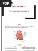Signo de Homans | PDF | Anatomía del miembro inferior | Extremidades ...