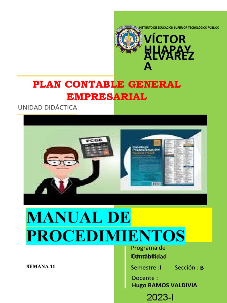 MANUAL Plan Contable General Empresarial 2023-I-SEMANA 11 | PDF