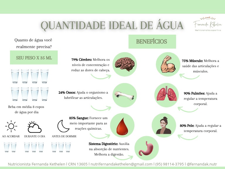 Quantidade Ideal de Água | PDF