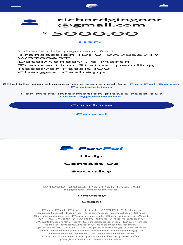 PayPal Make A Payment Preview | PDF