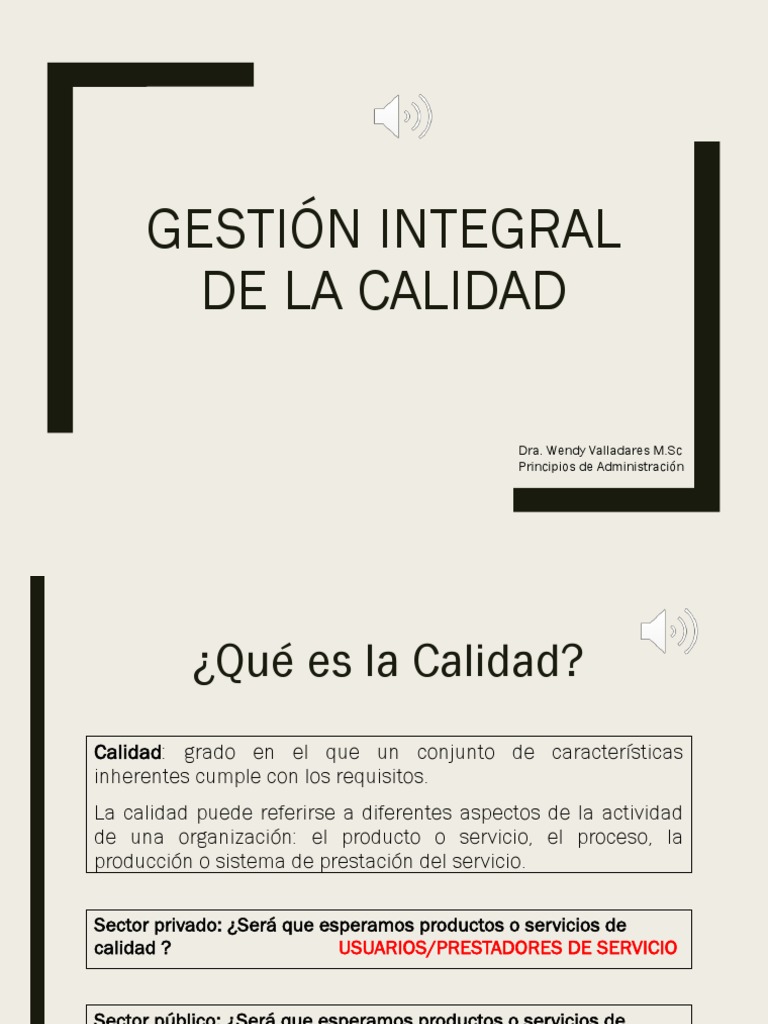 Gestión Integral De La Calidad Pdf Calidad Comercial