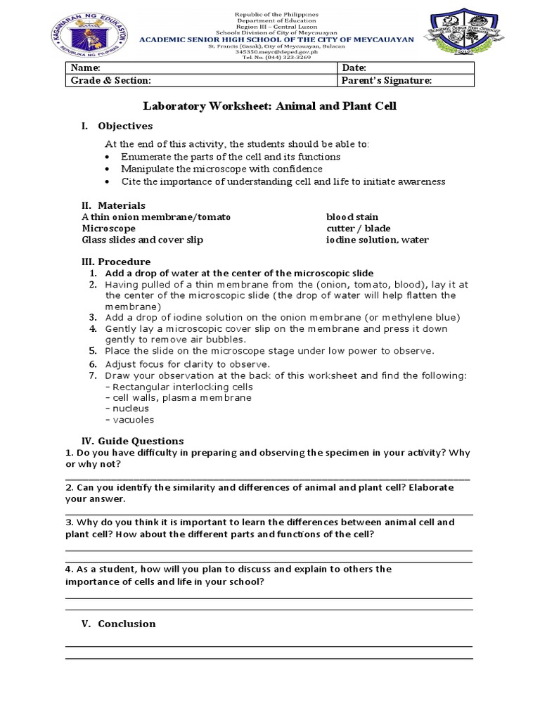 Laboratory Worksheet 1 EALS | PDF