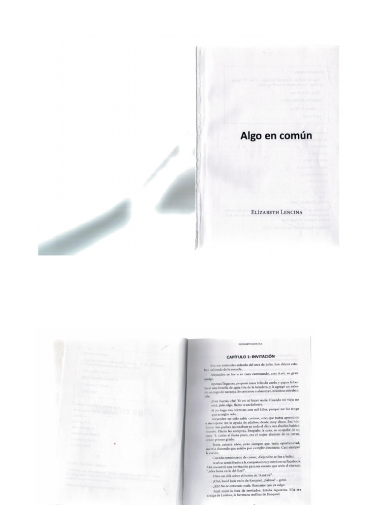 Algo en Común (Novela) | PDF