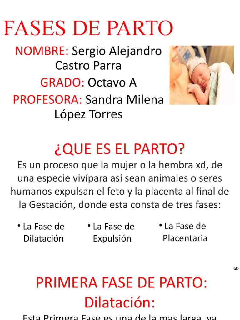 Fases del Parto: Dilatación, Expulsión y Placenta | PDF | Parto ...