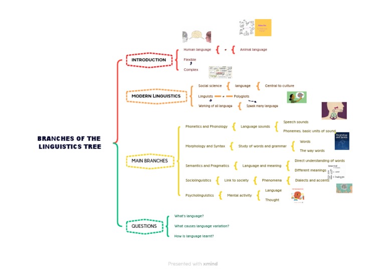 BRANCHES OF THE LINGUISTICS TREE2.1 | PDF | Linguistics | Word